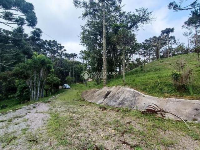 Chácara com 3 dormitórios à venda, 79358 m² por R$ 849.000,00 Campo Alto Tijucas do Sul/PR