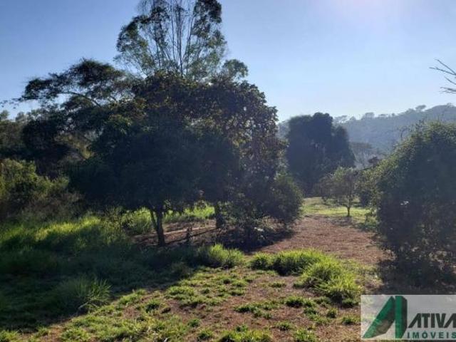 Chácara com 3 dormitórios à venda, 8000 m² por R$ 1.000.000,00 Juatuba Juatuba/MG