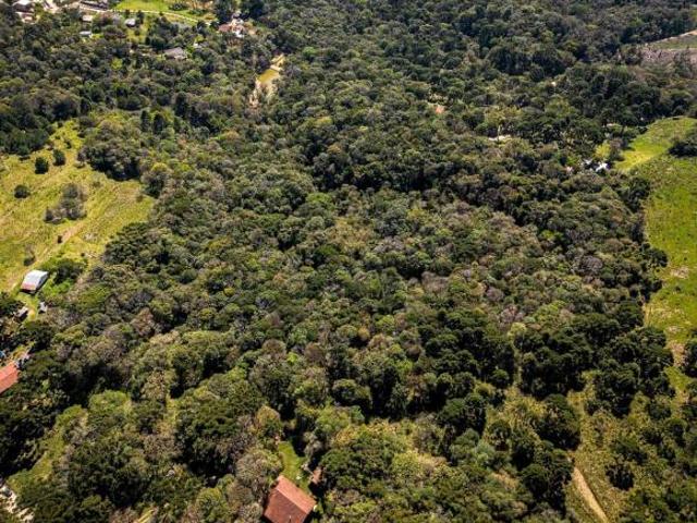 Chácara com 3 quartos à venda,96.365 m2, ITAQUI DE CIMA, CAMPO LARGO PR