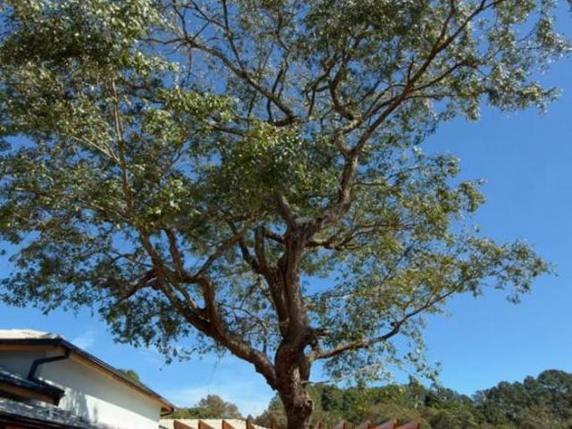 Chácara com 3 Quartos e 4 banheiros à Venda, 1.000 m² por R$ 1.090.000 Cód. ch2755
