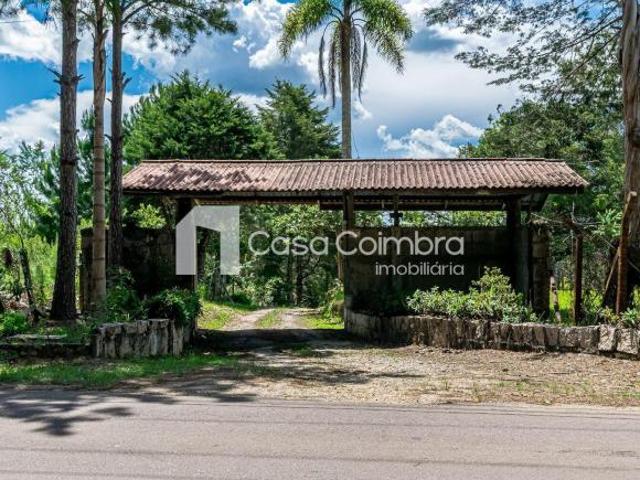 Chácara com 3,38 ha e duas residências próximo a á