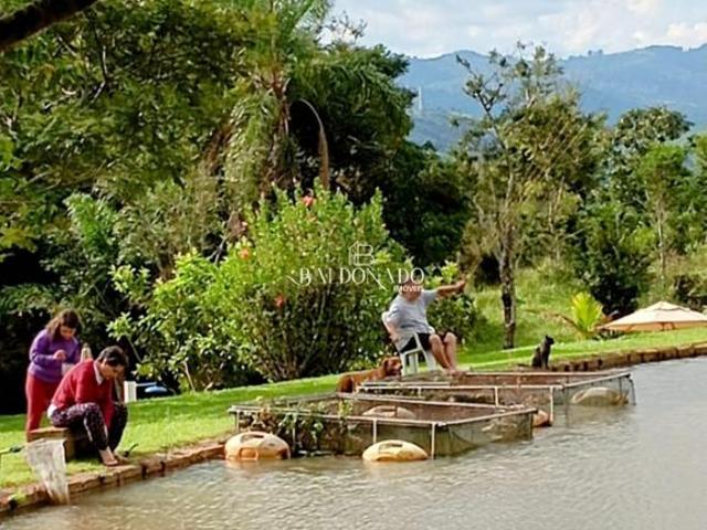 Chácara com acesso a represa bairro do Lopo 24.400 mil m com piscina pomar