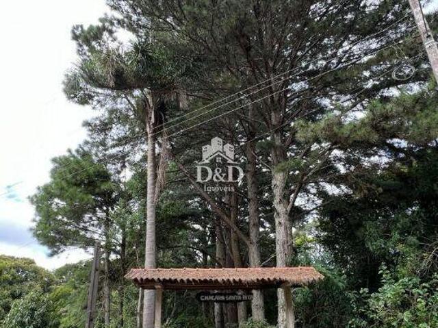 Chácara com casa 4 dormitórios à venda, 12.859 m² Área Rural São José dos Pinhais
