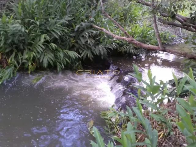 Chacara Com Córrego a venda