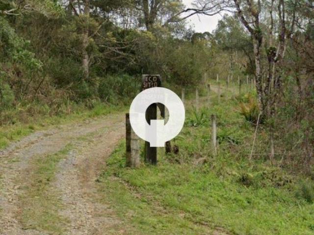 CHÁCARA COM GRANDE POTENCIAL DE VALORIZAÇÃO EM QUATRO BARRAS
