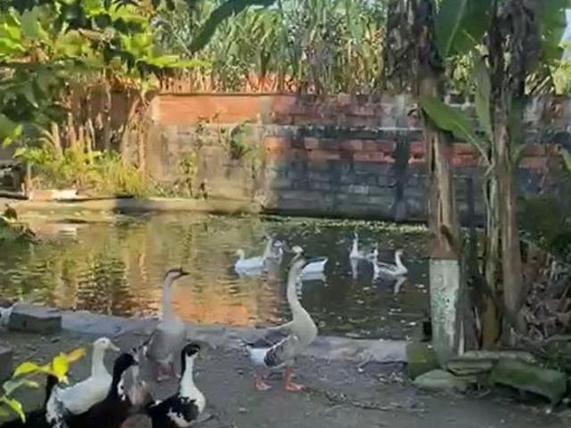 CHÁCARA COM LAGO A VENDA NA PRAIA EM ITANHAÉM/SP