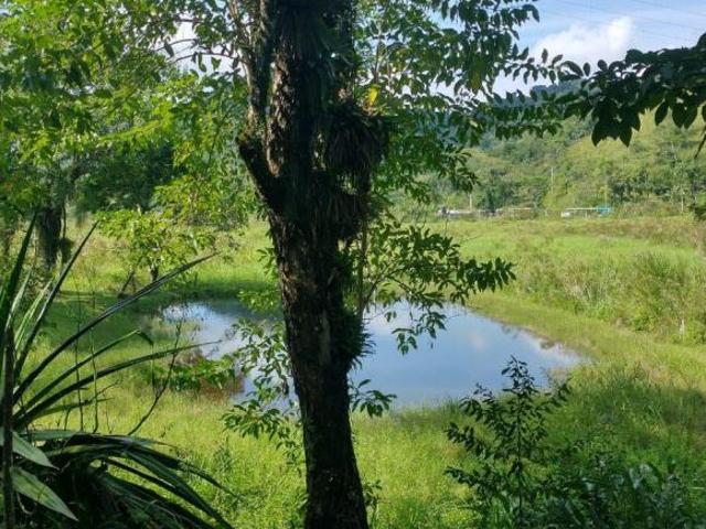CHÁCARA COM LAGO A VENDA NA PRAIA EM ITANHAÉM/SP
