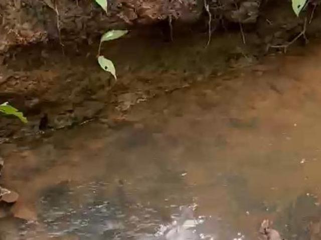 Chácara Com Mina dágua 10 mil metros