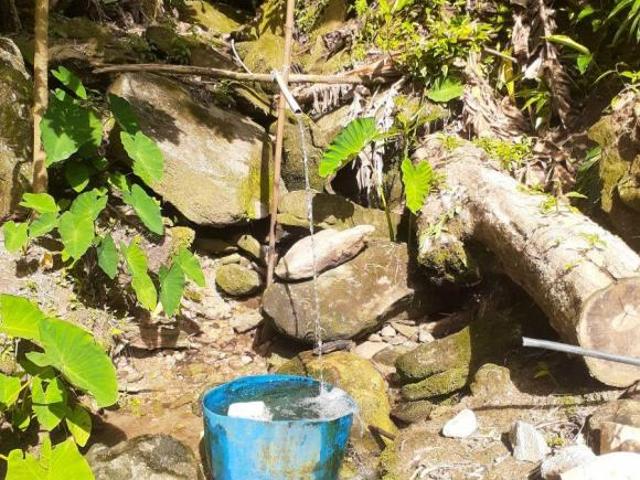 Chacara com nascente, 12mil pés banana e mini cachoeira