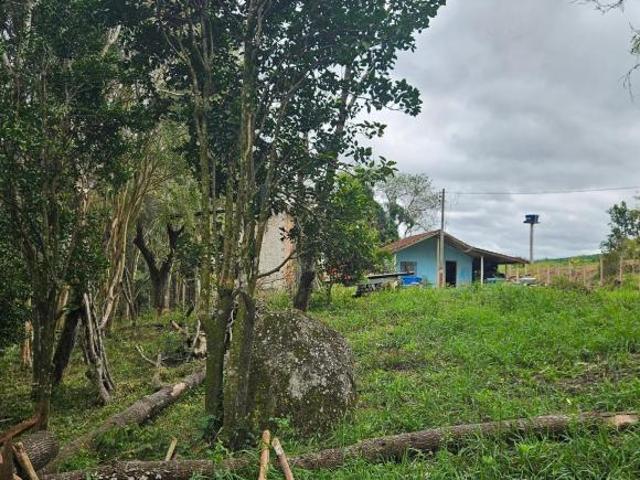 Chácara com Nascente, Vista Incrível e 44 Mil m entre Araucária e Campo Largo