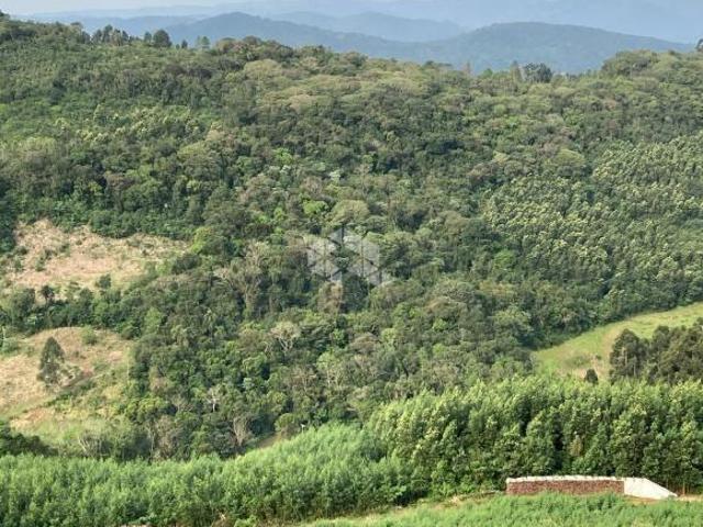 Chácara com ótima localização