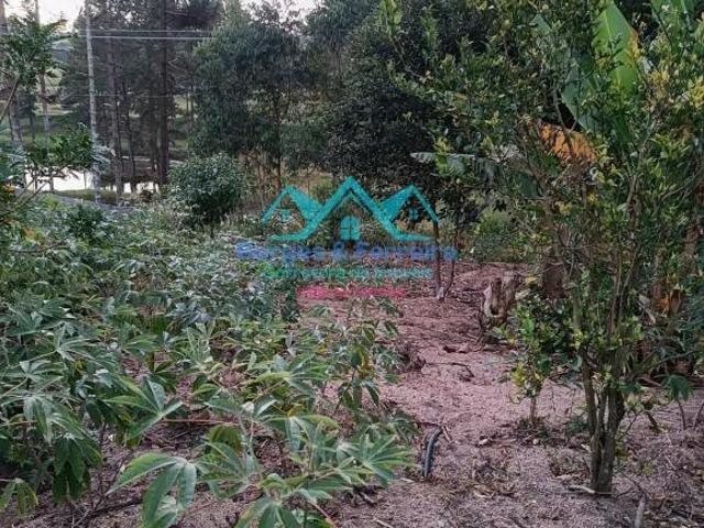 Chácara com Pomar Formado à venda, Vale das Cachoeiras Bairro Carafá, Votorantim, SP