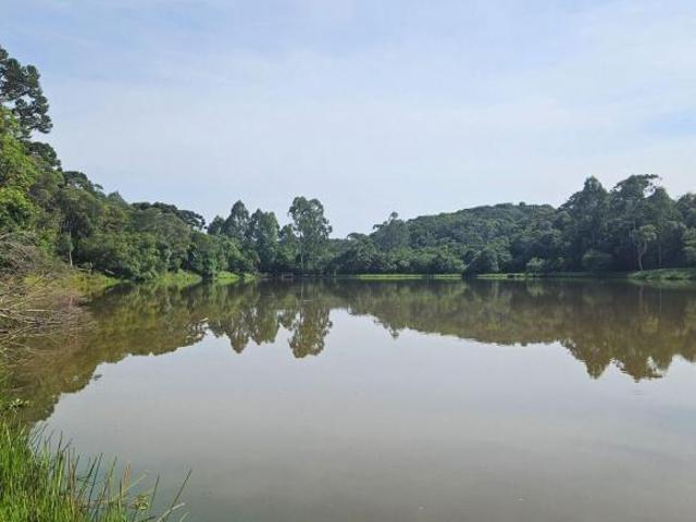 Chácara com Restaurante, Lago e Estrutura Completa em São José dos Pinhais