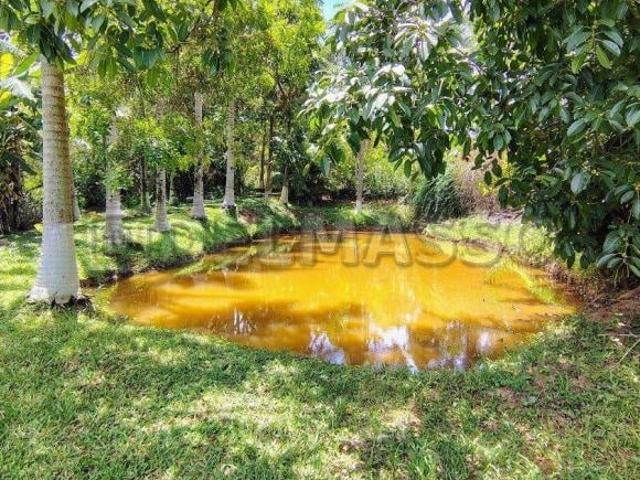 Chácara com rio nos fundos e próximo ao asfalto!