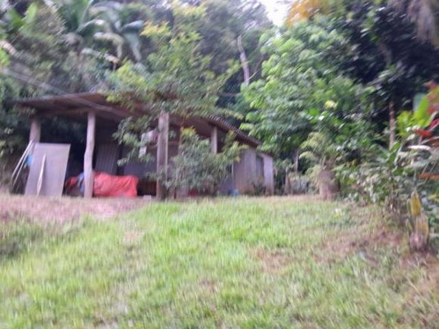 Chacara com riacho