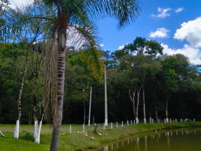 Chácara Comercial 26.314 m² Bocaiuva do Sul