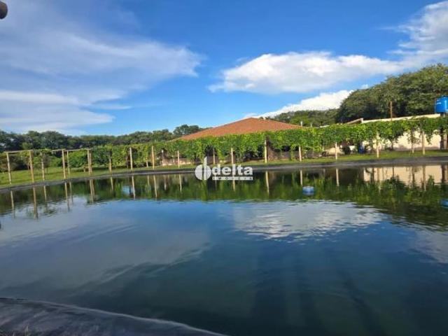 Chácara comercial disponível para Venda no bairro Vieno em Araguari MG