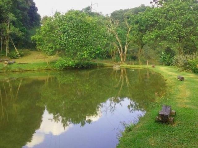 Chácara completa à venda em Campo Largo, Itaqui de Baixo