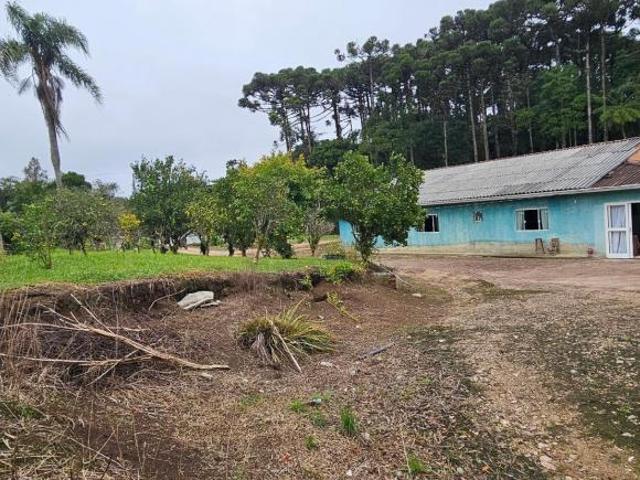 Chácara Completa à Venda na Colônia Murici Região de Gamelas | Divisa com Capão Grosso 21.000m