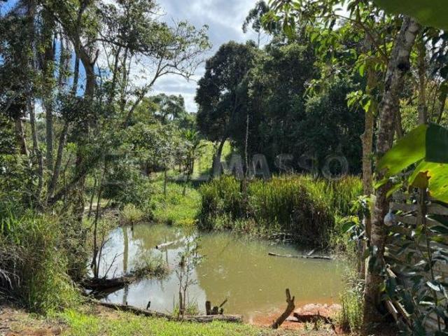Chácara completa com área verde e lago!
