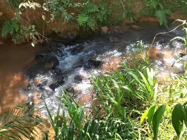 CHÁCARA COMPLETA COM CASA E POMAR EM LOCAL TRANQUILO PROXÍMO A PIEDADE DOS GERAIS