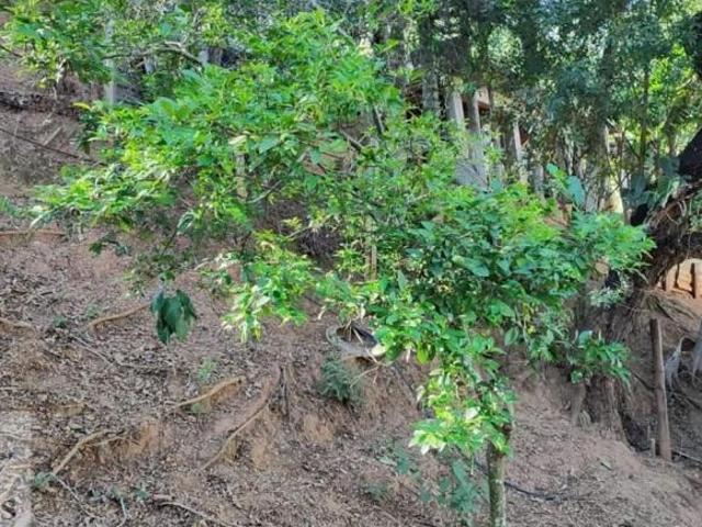 Chácara Condomínio Rural para Venda em Santa Branca, Do Funil, 2 dormitórios, 2 banheiros, 4 vagas