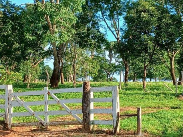 Chácara Coqueiro em Corumbá de Goiás