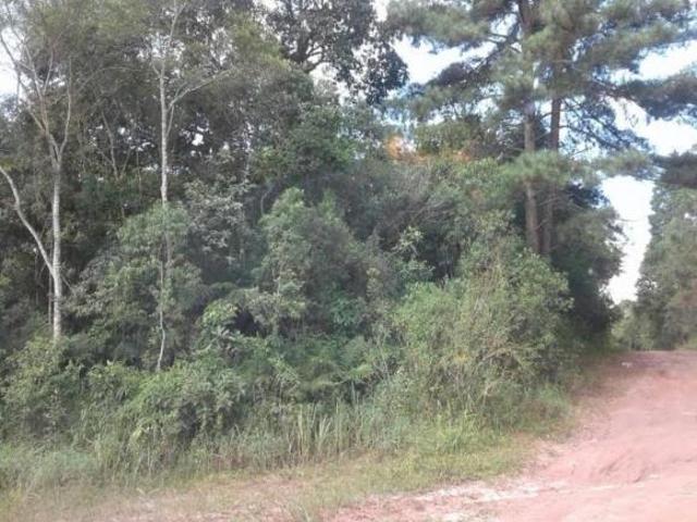 Chácara,, Cotia, SP