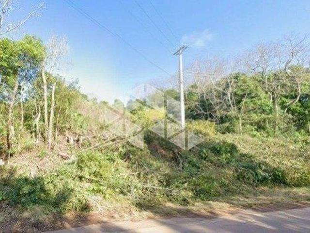 Chácara de meio hectare em Linha Antão!