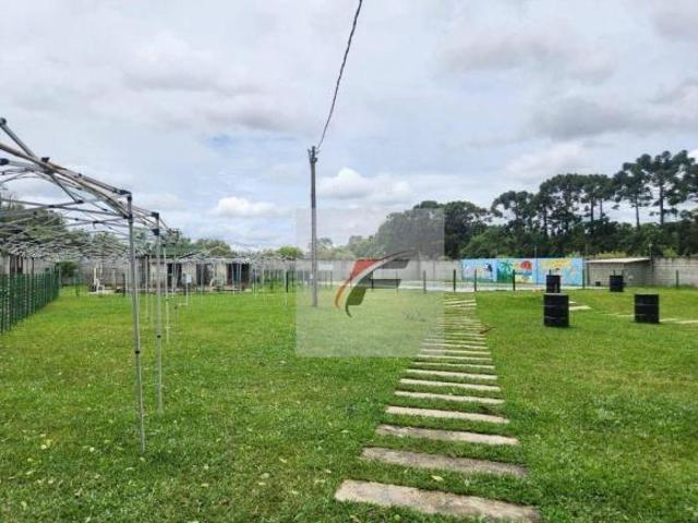 Chácara de Eventos Urbana à venda, 10000 m² por R$ 3.000.000 Centro Pinhais/PR