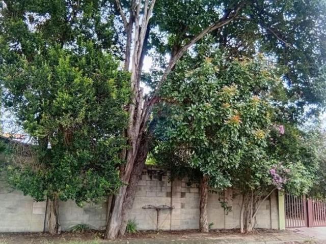 Chácara de Luxo em Barão Geraldo Campinas/SP Oportunidade Única em terreno de 2.255m2