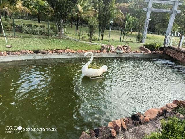 Chácara de lazer Venda Goianápolis GO Zona Rural
