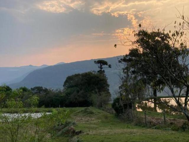 Chácara de 06 hectares em Linha Temerária