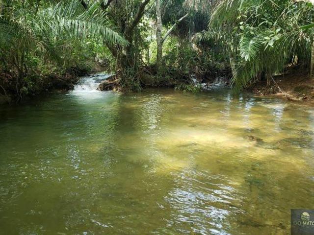 Chacara de 17 Hectares a Venda – Proxima a B.