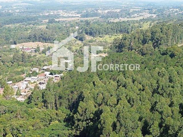 Chácara de 10000m² no bairro Campo Grande, em Estância Velha