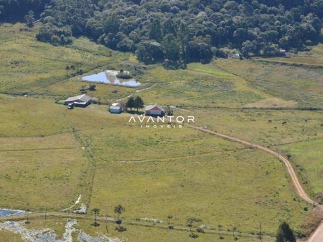 Chácara de 13 ha, em São Francisco de Paula