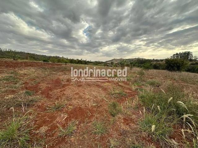 Chácara de 1.210 m² à venda no Patrimônio Selva Região Sul de Londrina, com água de poço artesiano