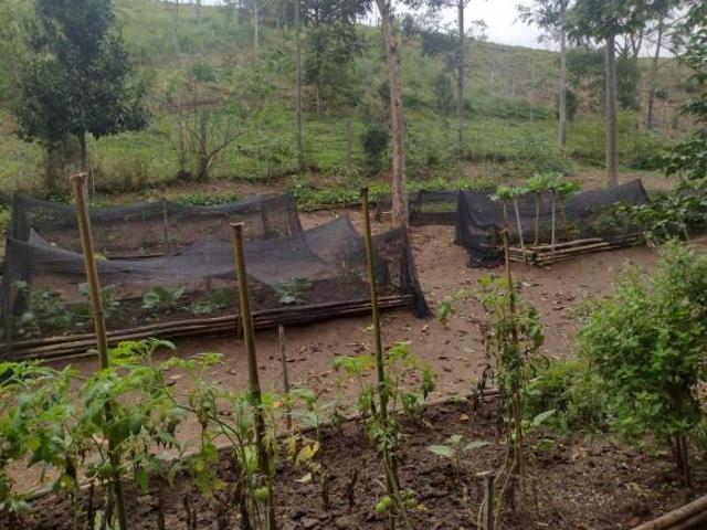 Chácara de 1,5 Hectares com Riacho e Suíte Externa em São Luiz do Paraitinga SP