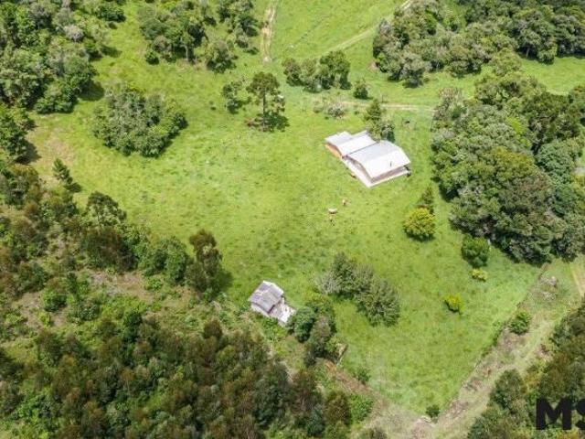 CHÁCARA | 260.300 m² | LOCALIZAÇÃO PRIVILEGIADA | CAMPO MAGRO