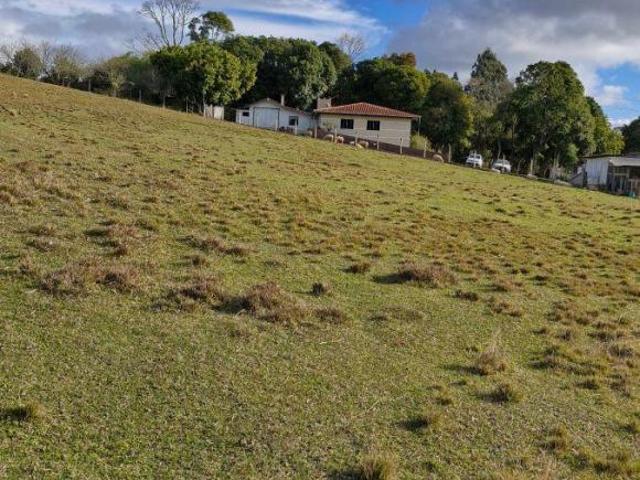 Chácara de 26.000m2 em Agudos do Sul oportunidade