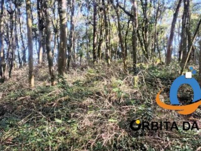 Chácara de 20.000m² no Centro de Tijucas do Sul PR: sua oportunidade de adquirir um pedaço do paraís