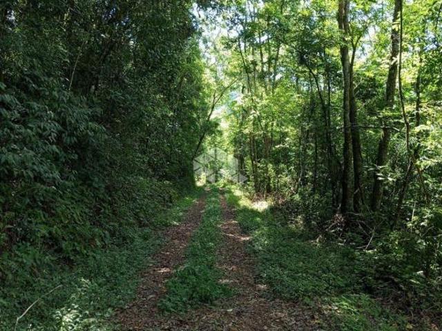 Chácara de 2,4 ha para venda em meio a natureza na serra gaúcha