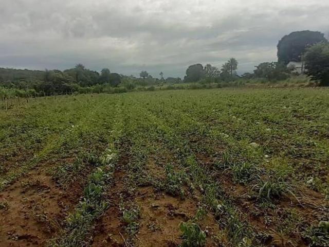 Chácara de 2 Hectares no Córrego do Atoleiro Planaltina DF