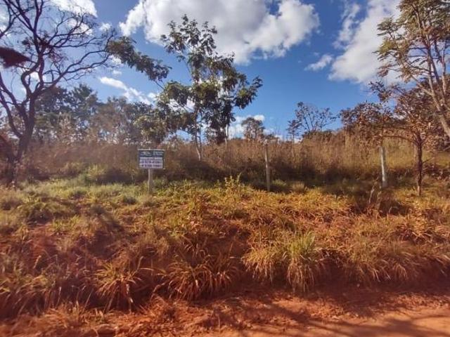 Chácara de 2 Hectares no Bom Sucesso Próximo ao Colégio Bonsucesso