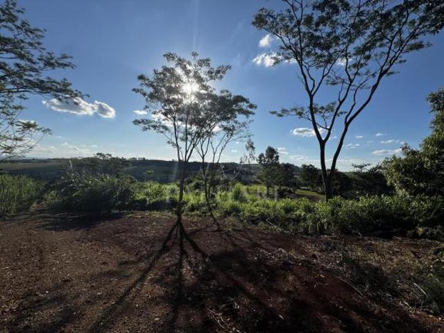 CHACARA DE 36.000 METROS EM PAICANDU PR