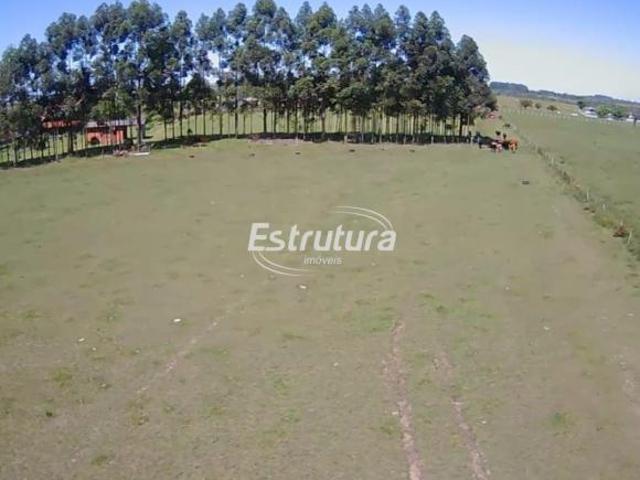 Chácara de 3 ha próxima a nova perimetral