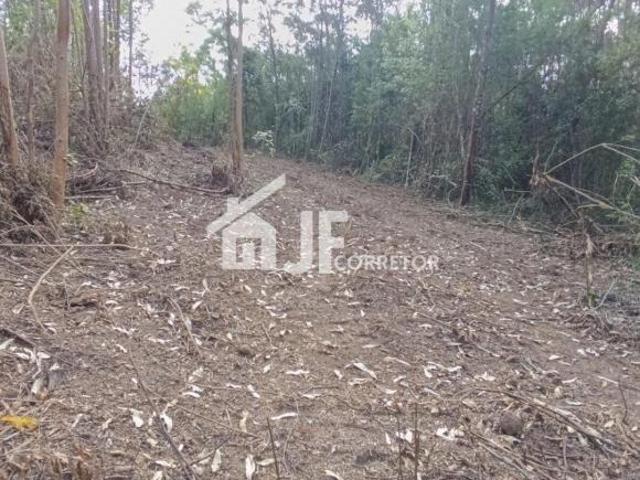 Chácara de 44000m² no bairro Macaco branco, em Portão