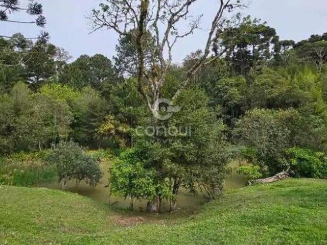CHÁCARA DE 45.000m² COM 3 CASAS, NASCENTES E ESTRU