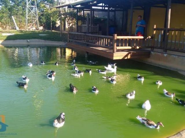 Chácara de 5.000m² em Bom Jesus do Galho