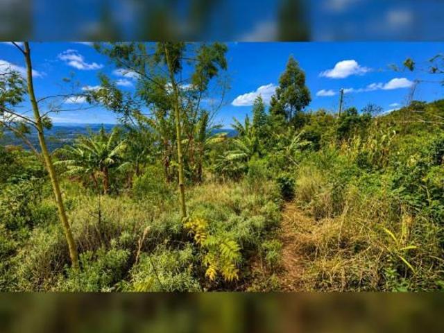 Chácara de 5.000m² em Nova Hartz – Linda Vista Panorâmica